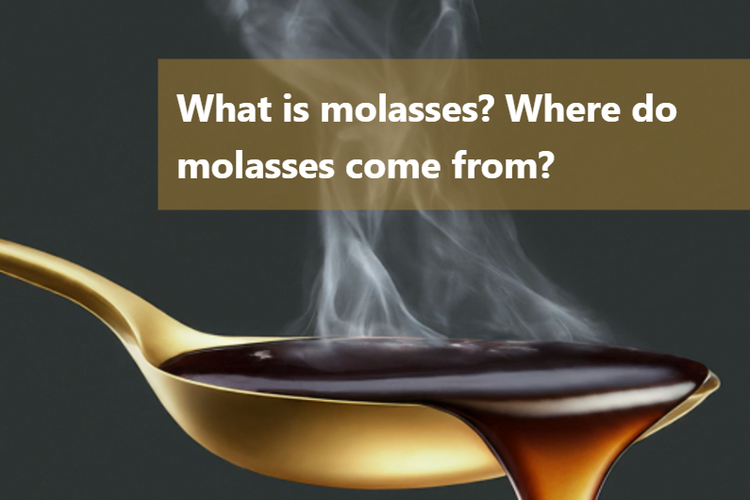 Molasses: What It Is and Where It Comes From – DiabeSmart